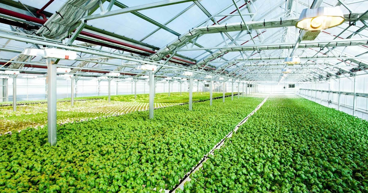 Revolutionizing Agriculture: Green Technology’s Impact on Sustainable ...